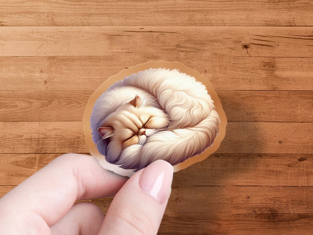 Sleeping Cat Sticker, Fluffy Persian Cat Nap, Cute Animal Vinyl Decal ...