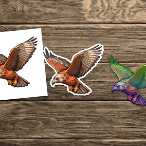 Red-tailed Hawk Sticker, Bird Watcher Decal, Laptop, Car Window Decal ...