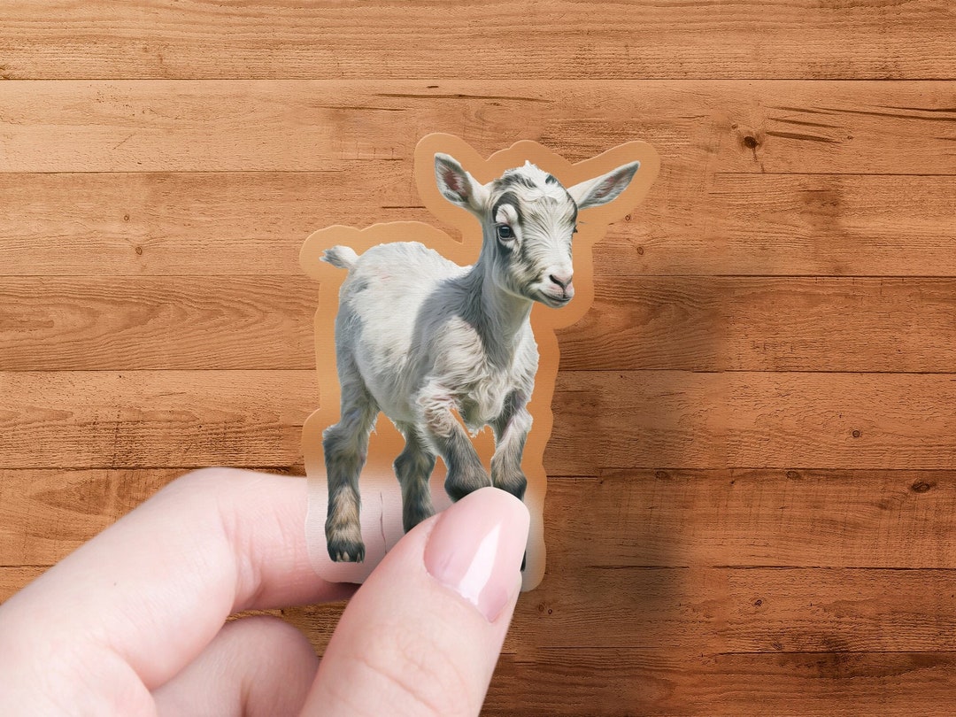 Baby Goat Sticker, Goat Sticker, Farm Animal Sticker, Laptop Stickers ...