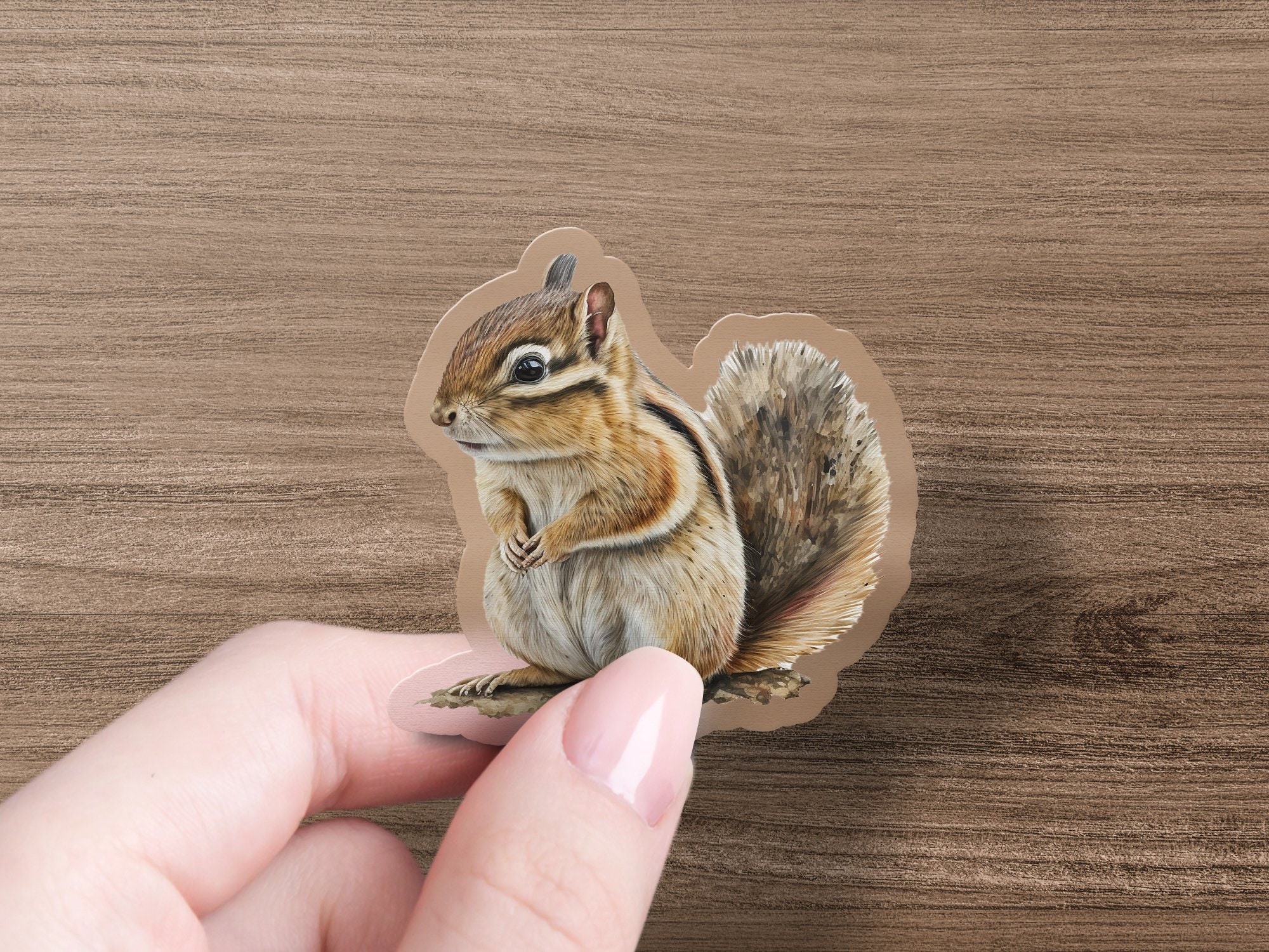 Chipmunk Sticker, Cute Animal Decal, Laptop, Car, Water Bottle, Premium ...