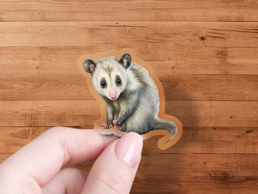Opossum Sticker, Cute Animal Decal, Laptop, Car, Water Bottle, Premium ...
