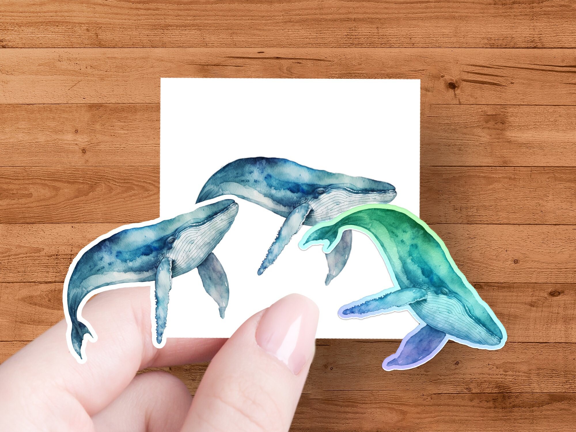 Blue Whale Sticker Vinyl Decal Sea Animal Sticker Premium - Etsy