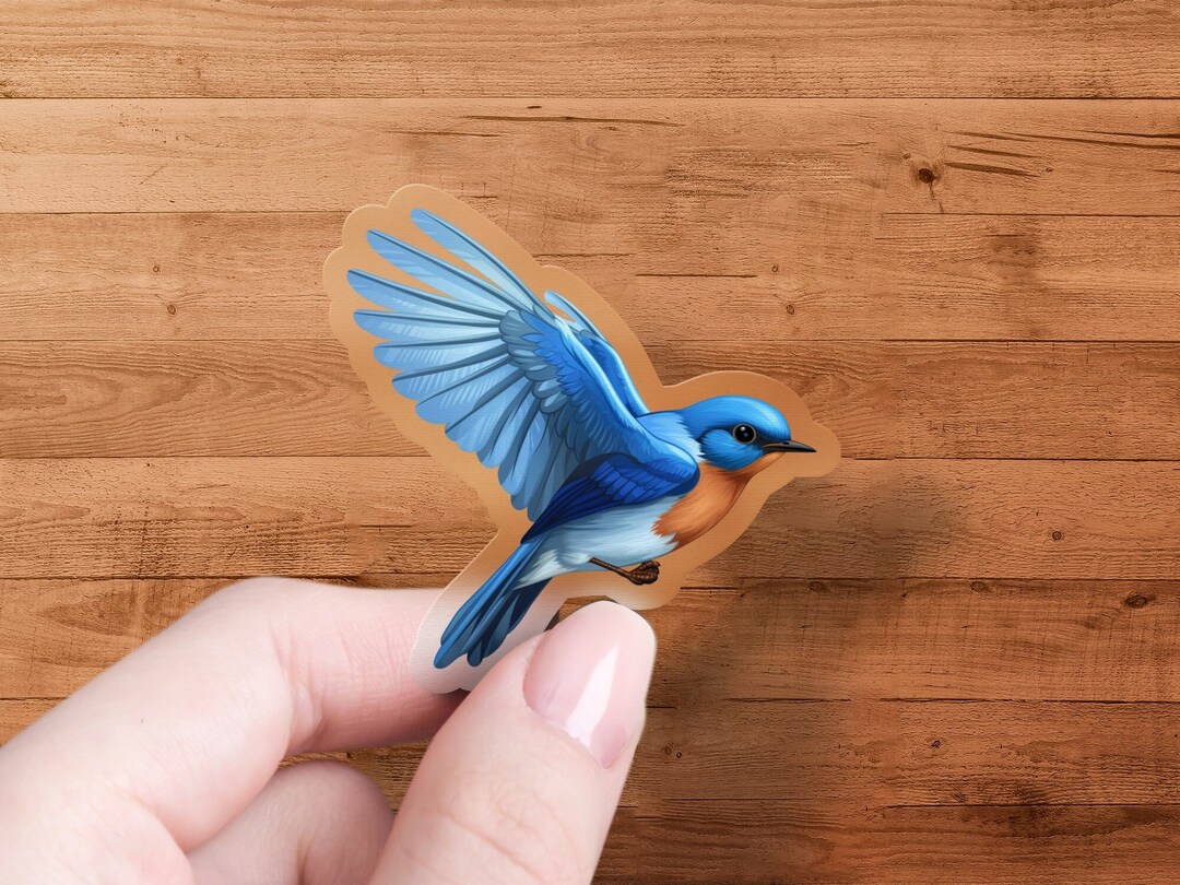 Eastern Bluebird Sticker, Bird Watcher Decal, Laptop, Car Window Decal ...