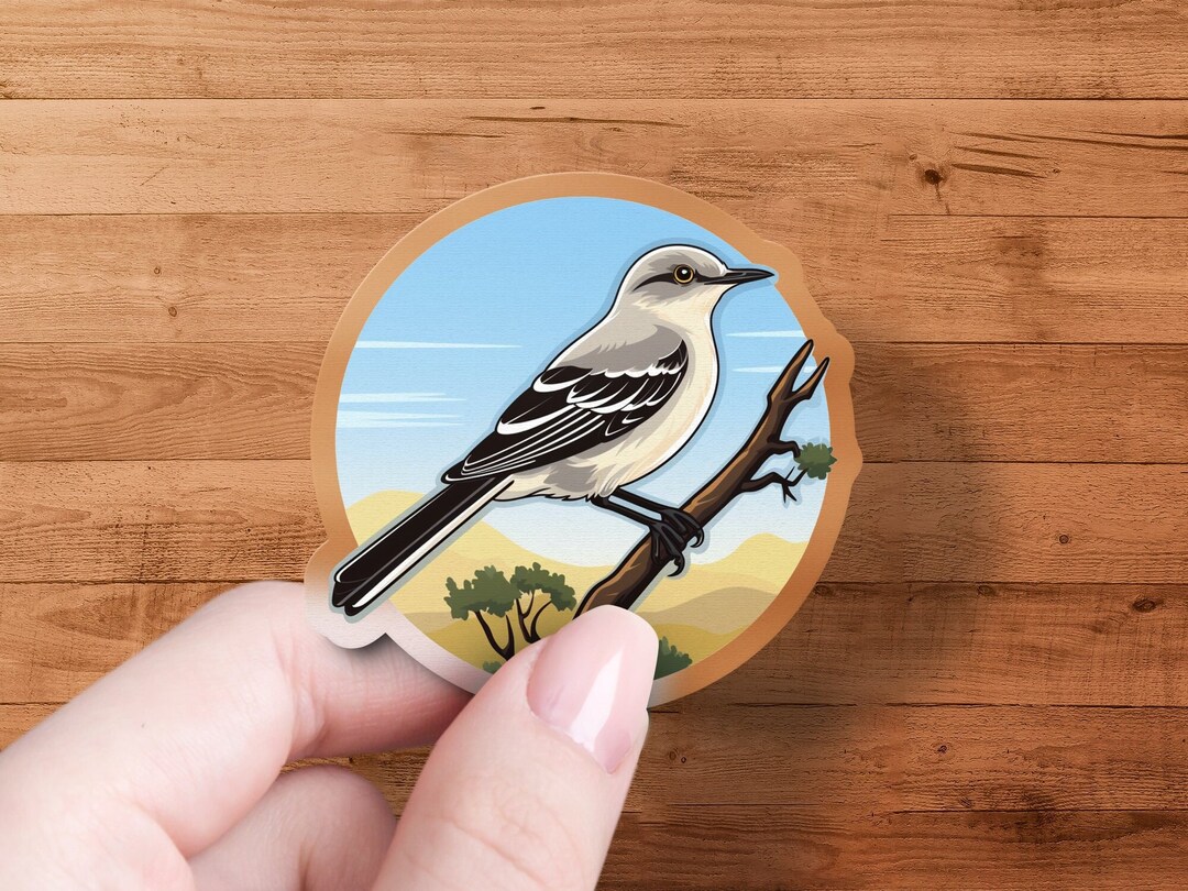 Northern Mockingbird Sticker, Bird Watcher Decal, Laptop, Car Window ...