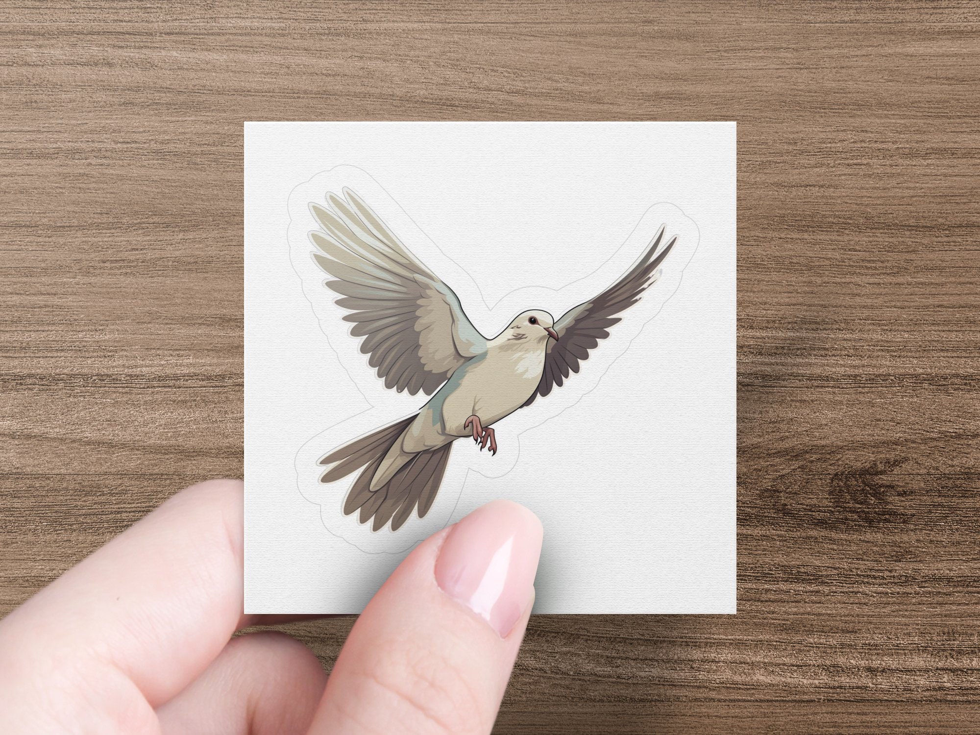 Mourning Dove Sticker Bird Watcher Decal Laptop Car Window - Etsy