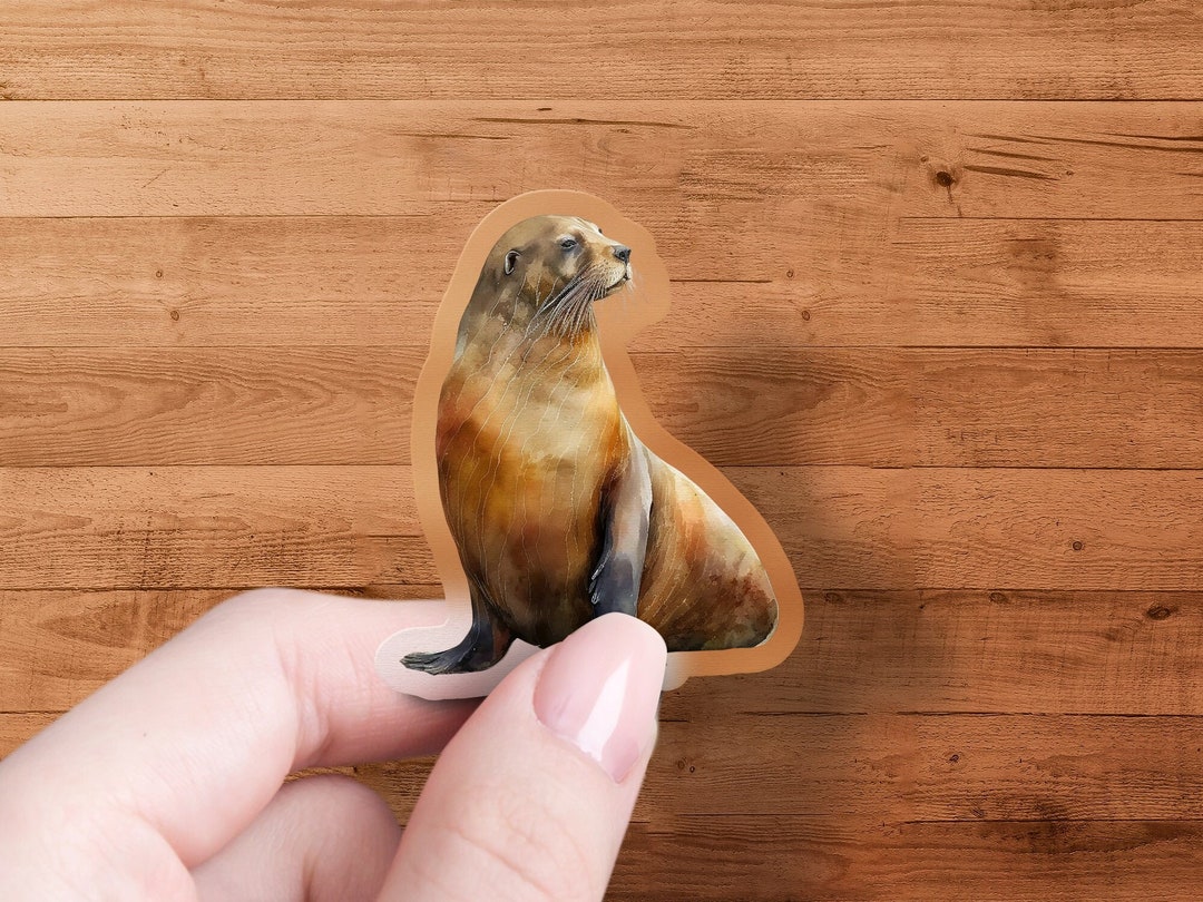 Seal Sticker, Sea Lion Sticker, Ocean Stickers, Beach Decorations ...