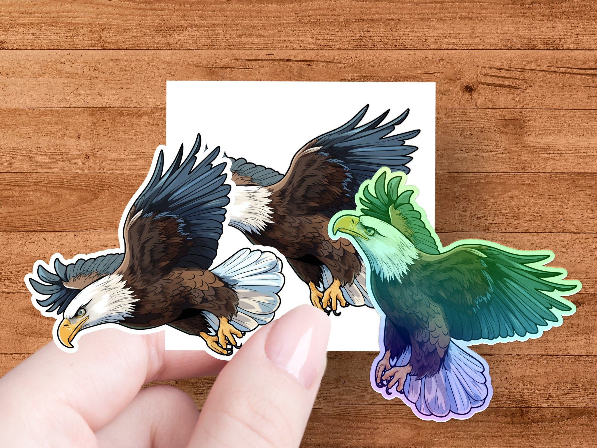 Bald Eagle Sticker, Bird Watcher Decal, Laptop, Car Window Decal, Water ...