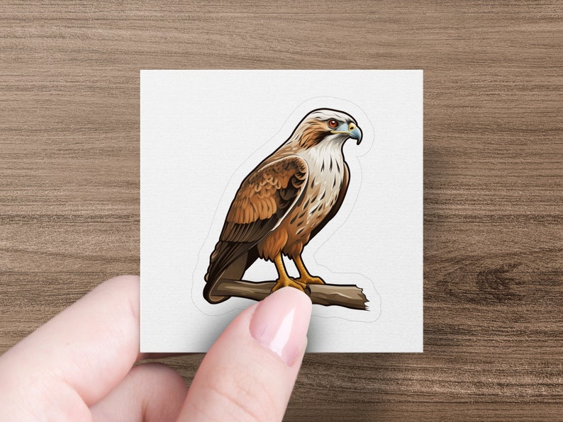 Red-tailed Hawk Sticker, Bird Watcher Decal, Laptop, Car Window Decal ...