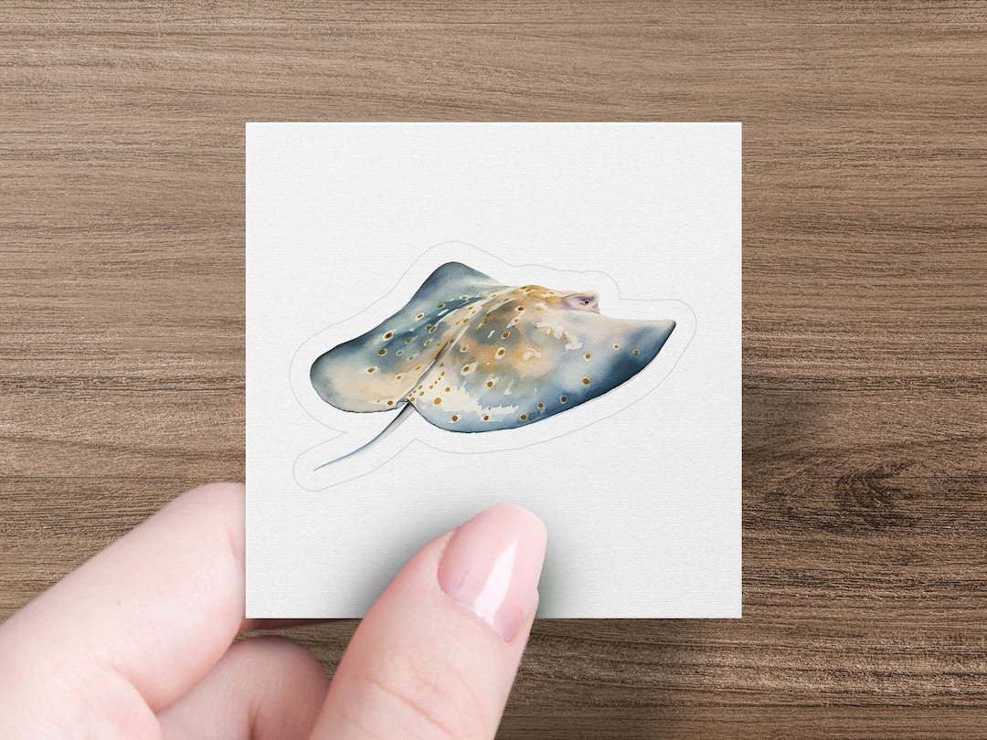 Sting Ray Sticker, Car Vinyl Decal, Marine Animal Sticker, Ocean Decor ...