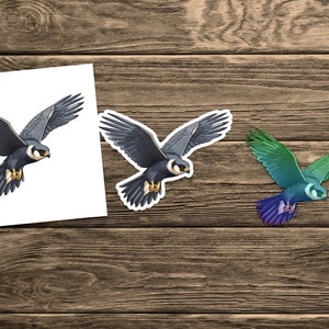 Peregrine Falcon Sticker, Bird Watcher Decal, Laptop, Car Window Decal ...