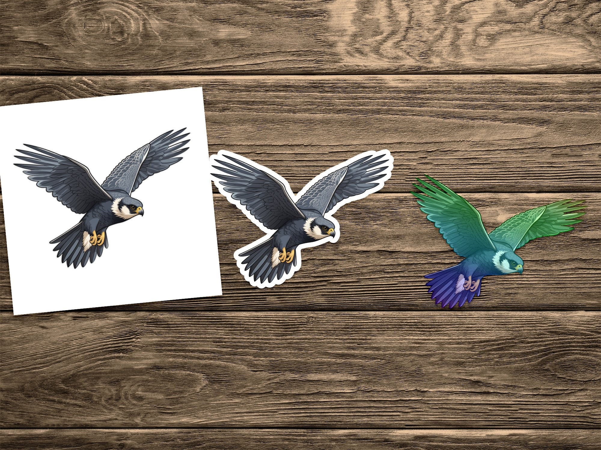 Peregrine Falcon Sticker, Bird Watcher Decal, Laptop, Car Window Decal ...