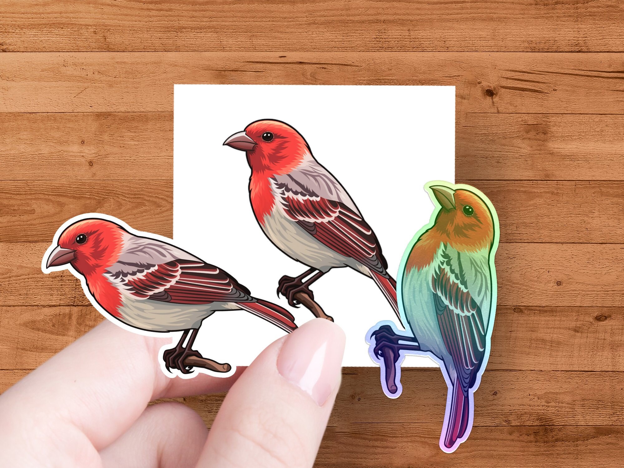 House Finch Sticker Bird Watcher Decal Laptop Car Window - Etsy