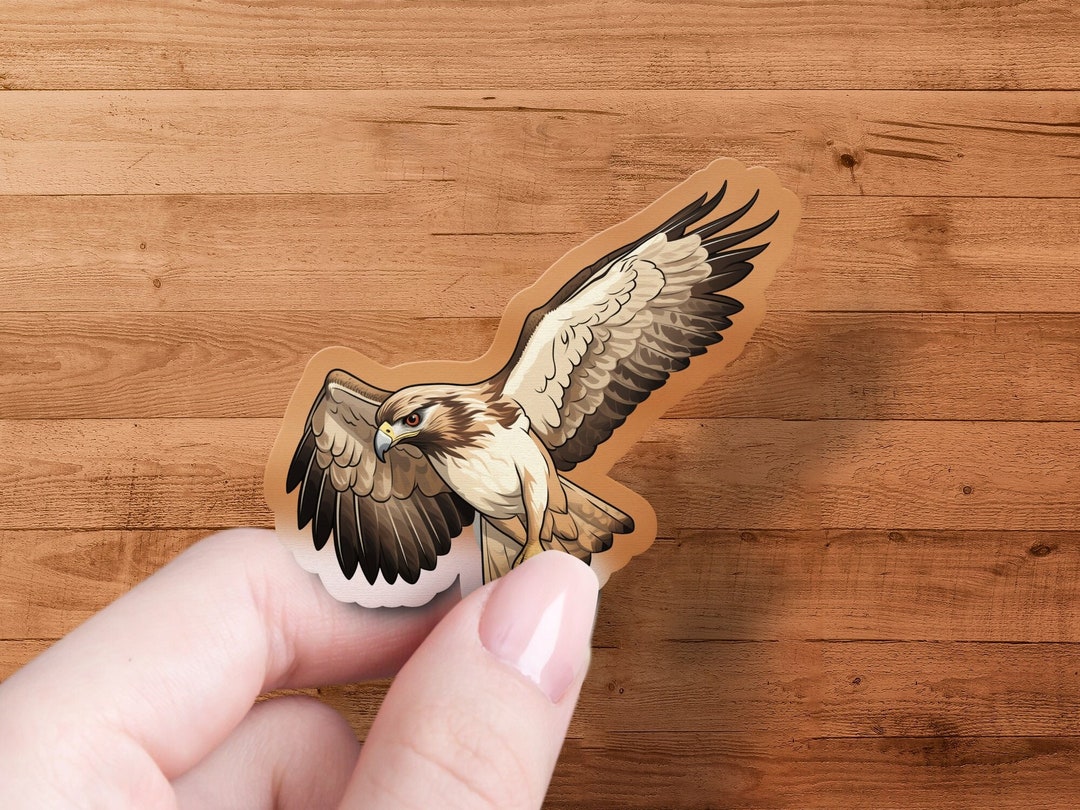 Red-tailed Hawk Sticker, Bird Watcher Decal, Laptop, Car Window Decal ...