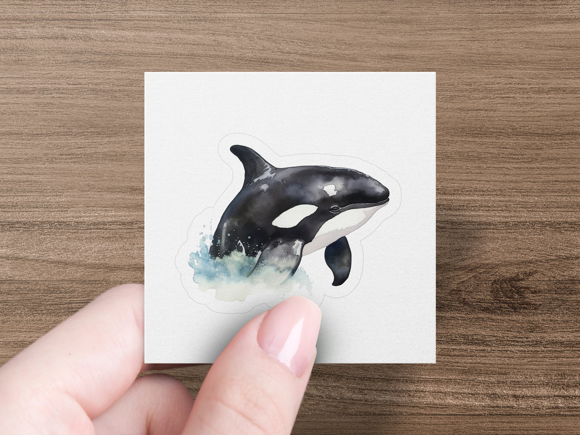 Killer Whale Sticker Die Cut Vinyl Decal Ocean Themed - Etsy
