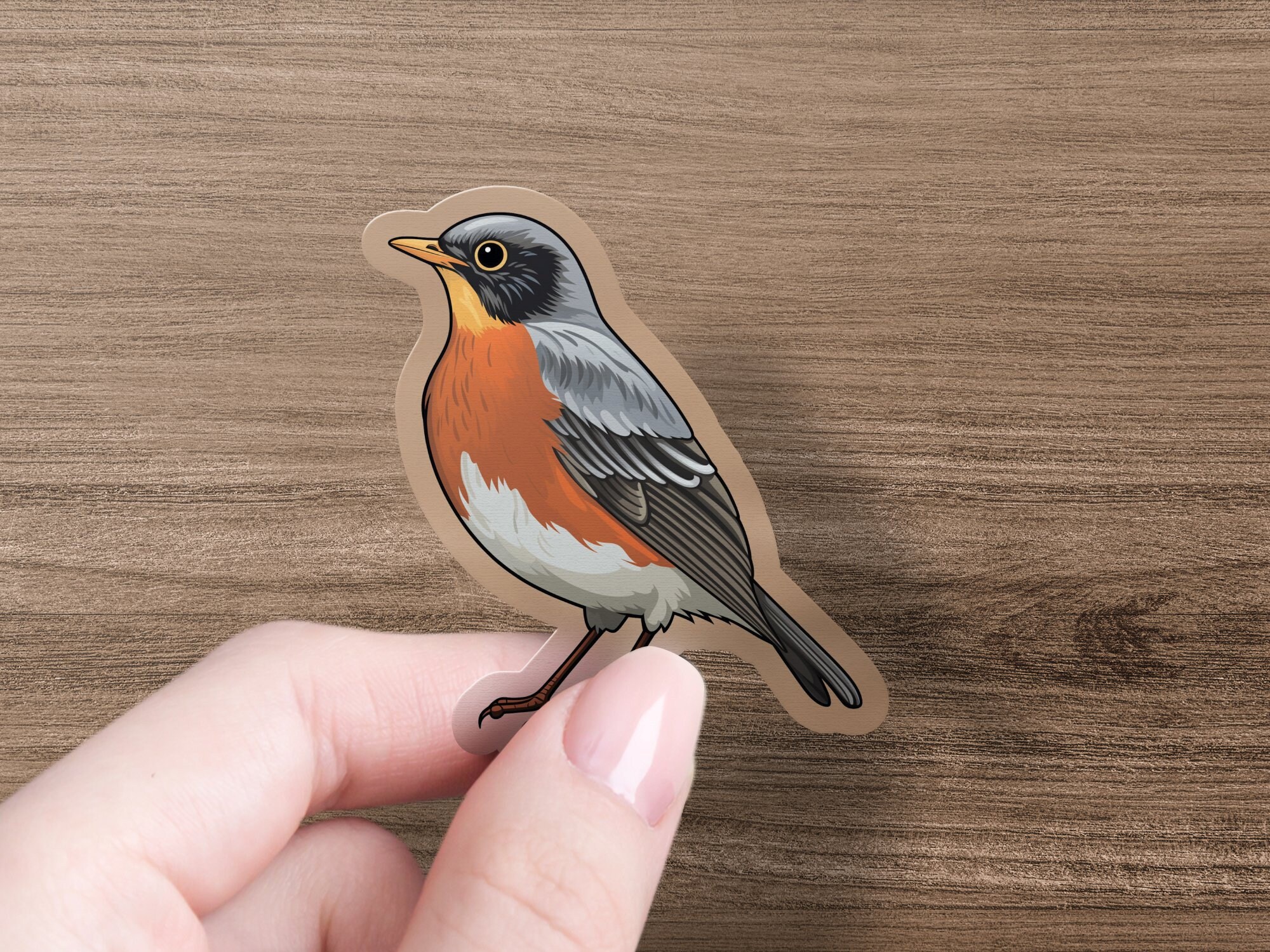 American Robin Sticker, Bird Watcher Decal, Laptop, Car Window Decal ...