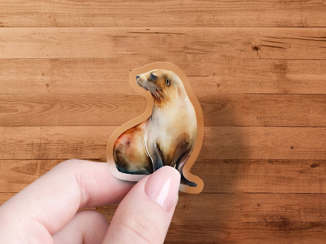 Seal Sticker, Premium Quality Seal Decal, Seal Fan Gifts, Seal Bumper ...