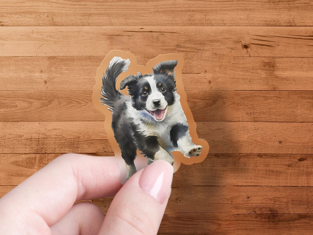 Border Collie Sticker, Border Collie Gift, Collie Owner Sticker, Dog ...