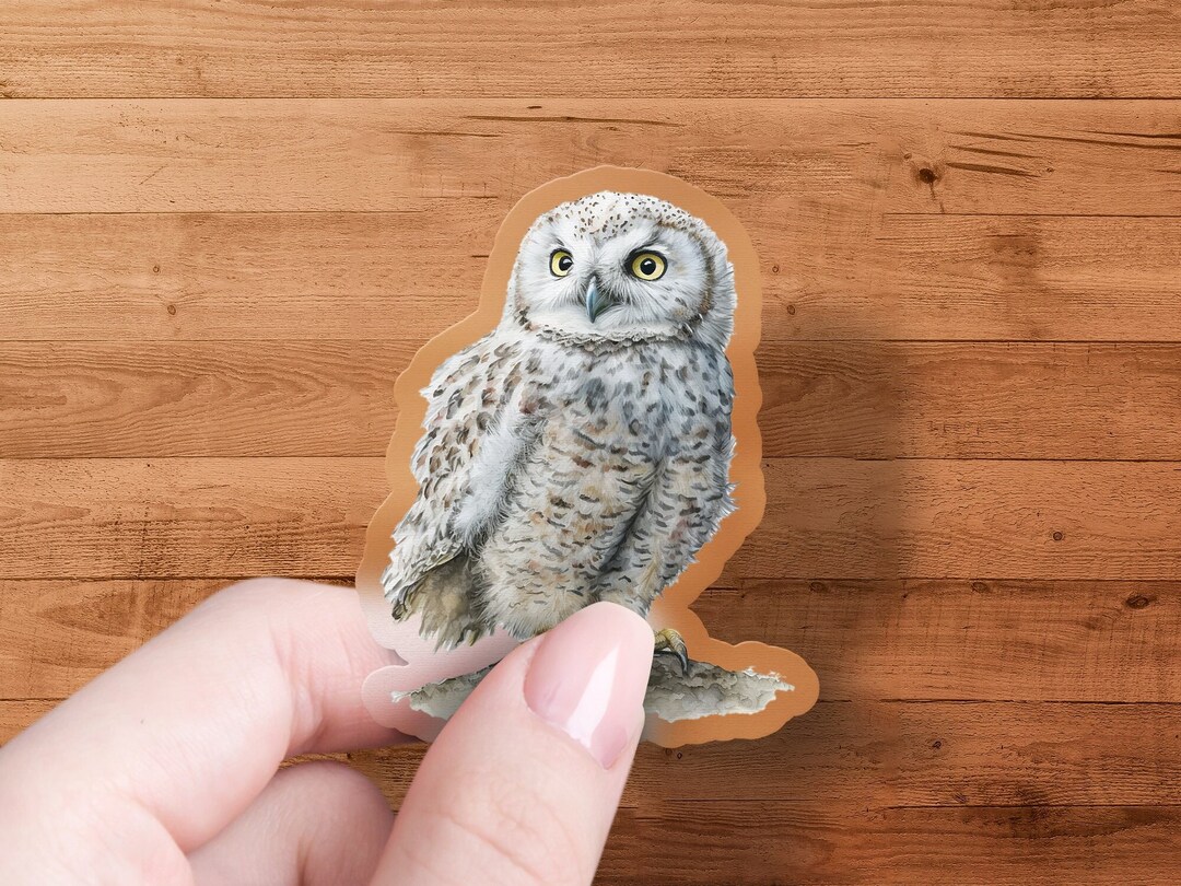 Snowy Owl Sticker, Car Window Decal, Custom Vinyl Decal, Vinyl Sticker ...
