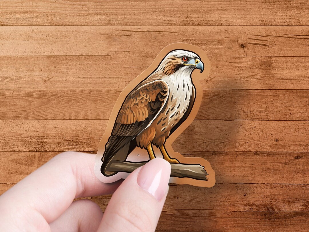 Red-tailed Hawk Sticker, Bird Watcher Decal, Laptop, Car Window Decal ...