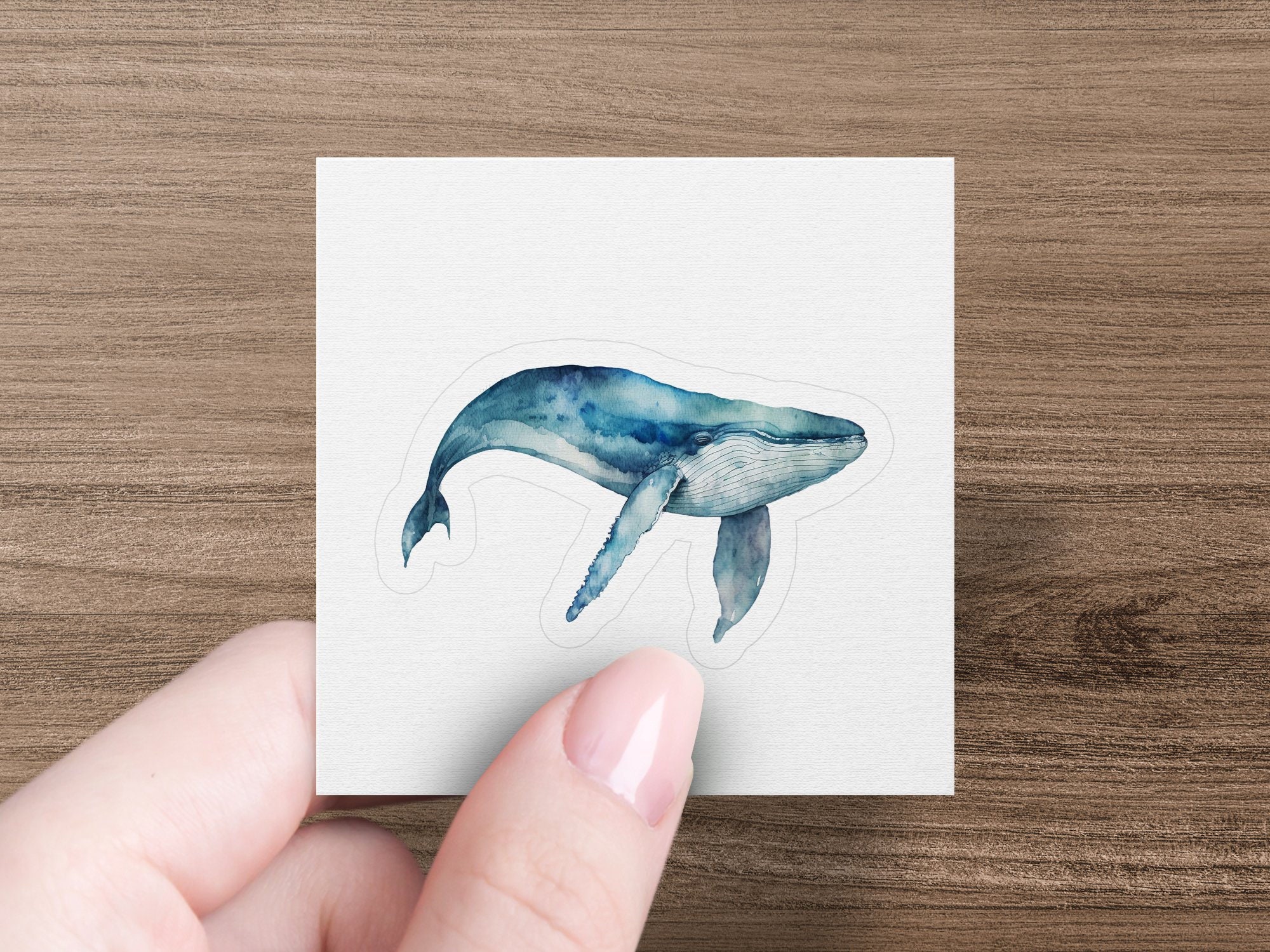 Blue Whale Sticker Vinyl Decal Sea Animal Sticker Premium - Etsy