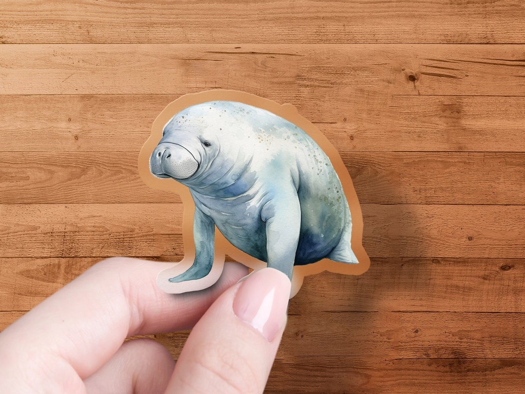Manatee Sticker, Vinyl Decal, Manatee Car Decal, Manatee Gift, Manatee ...