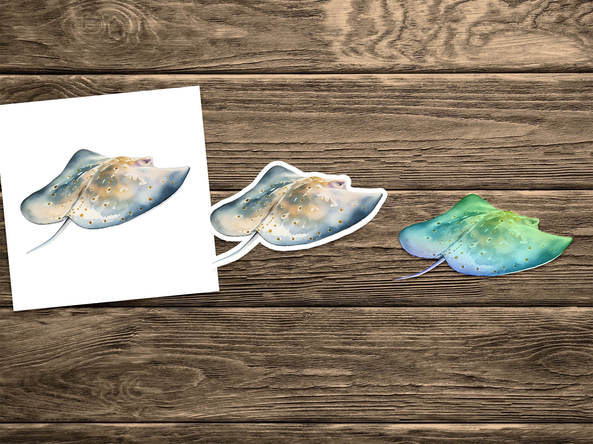 Sting Ray Sticker Car Vinyl Decal Marine Animal Sticker - Etsy
