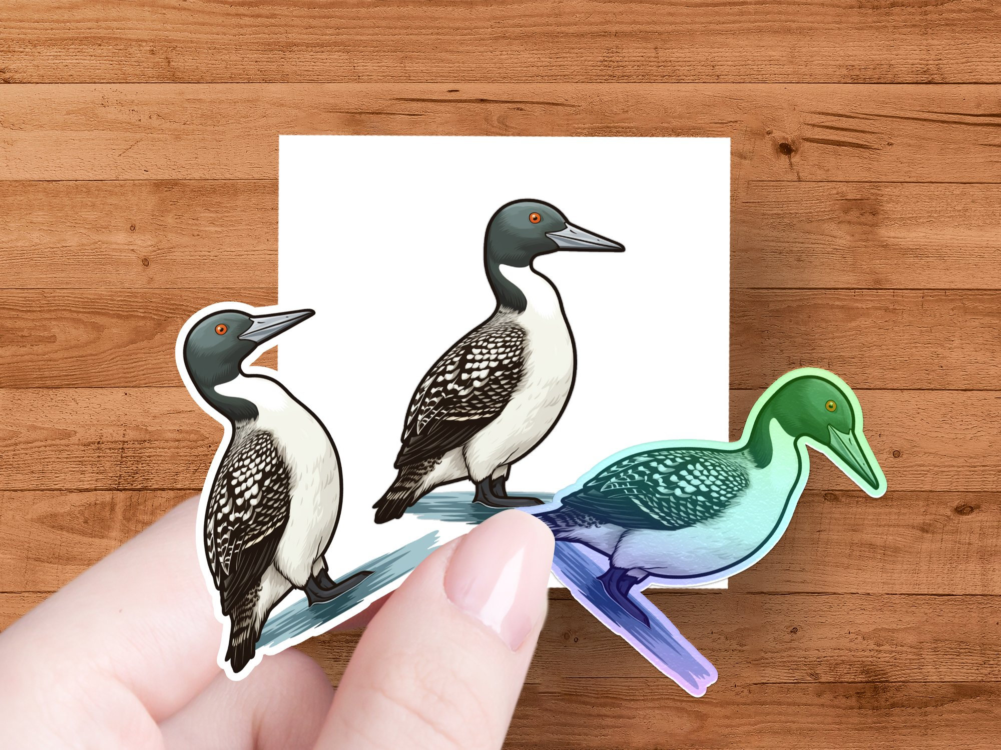 Common Loon Sticker Bird Watcher Decal Laptop Car Window - Etsy