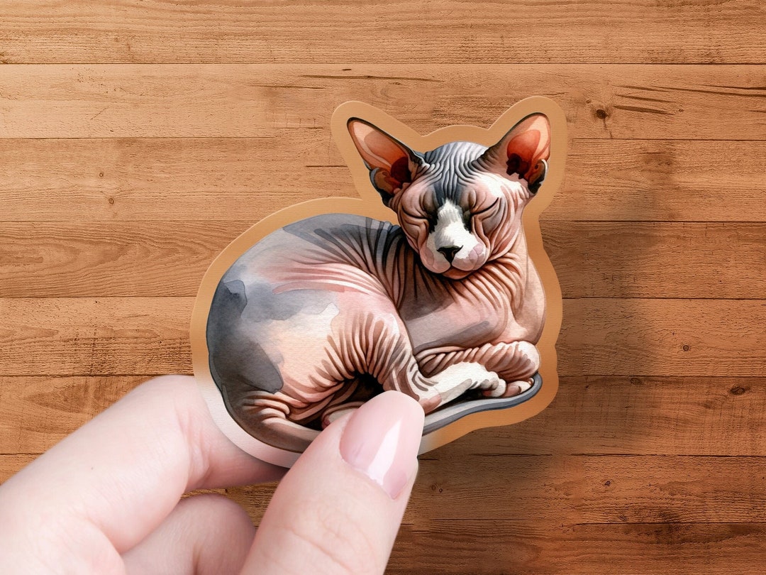Sphynx Cat Sticker, Cute Hairless Cat Decal, Laptop and Water Bottle ...
