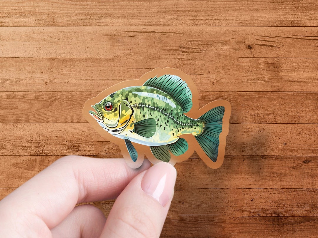 Crappie Sticker, Animal Decal, Laptop, Car Window Decal, Water Bottle ...
