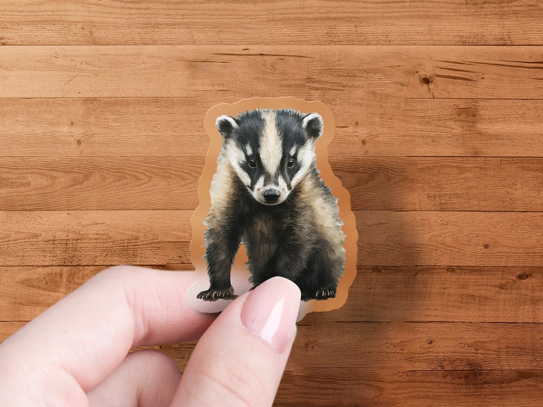 Badger Sticker, Cute Animal Decal, Laptop, Car, Water Bottle, Premium ...