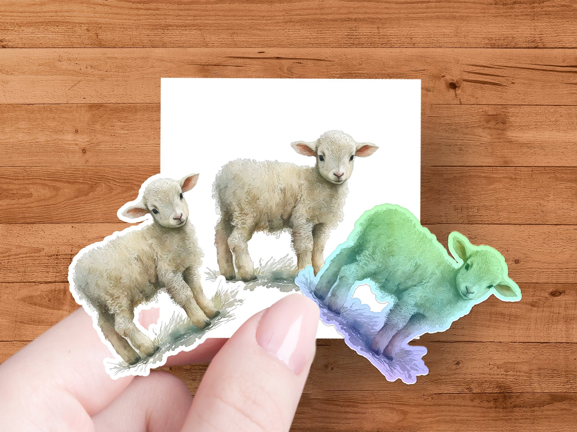 Lamb Sticker Vinyl Decal Die Cut Decal Baby Sheep Decal - Etsy