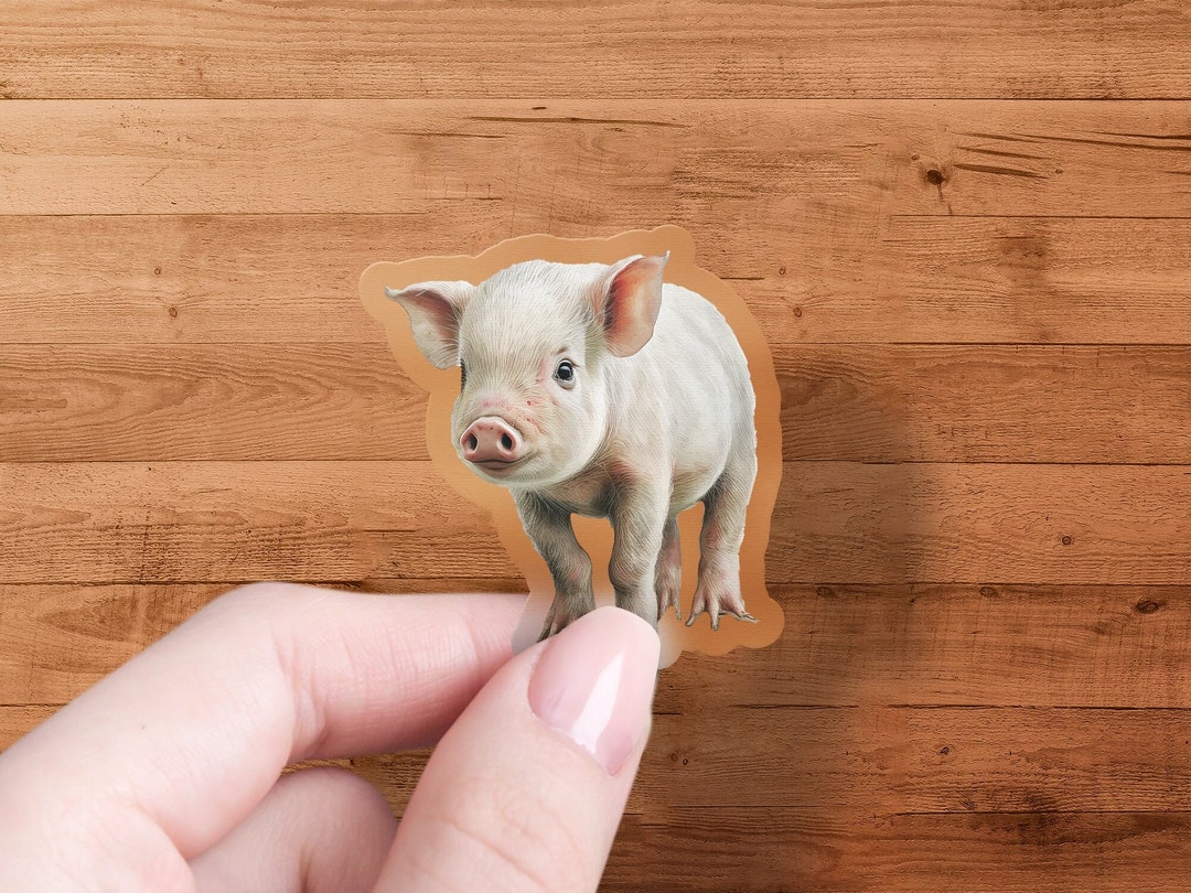 Pig Sticker, Pig Vinyl Decal, Farm Animal Decal, Car Decal, Laptop ...