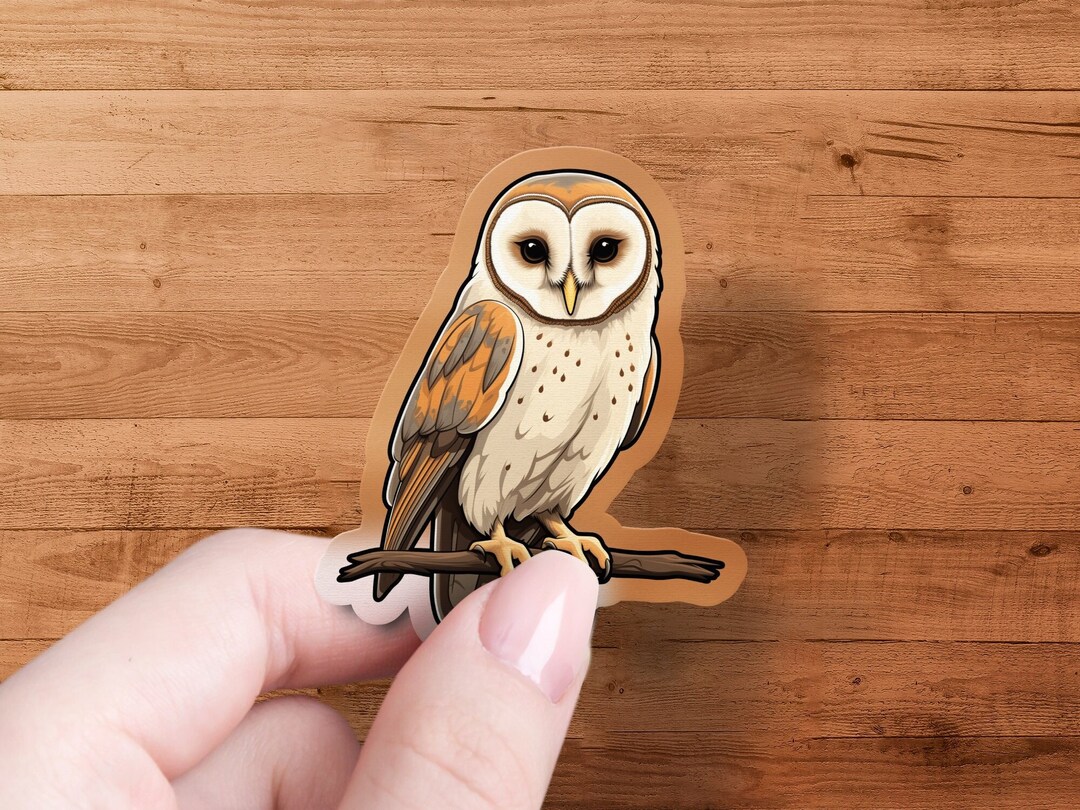 Barn Owl Sticker, Bird Watcher Decal, Laptop, Car Window Decal, Water ...
