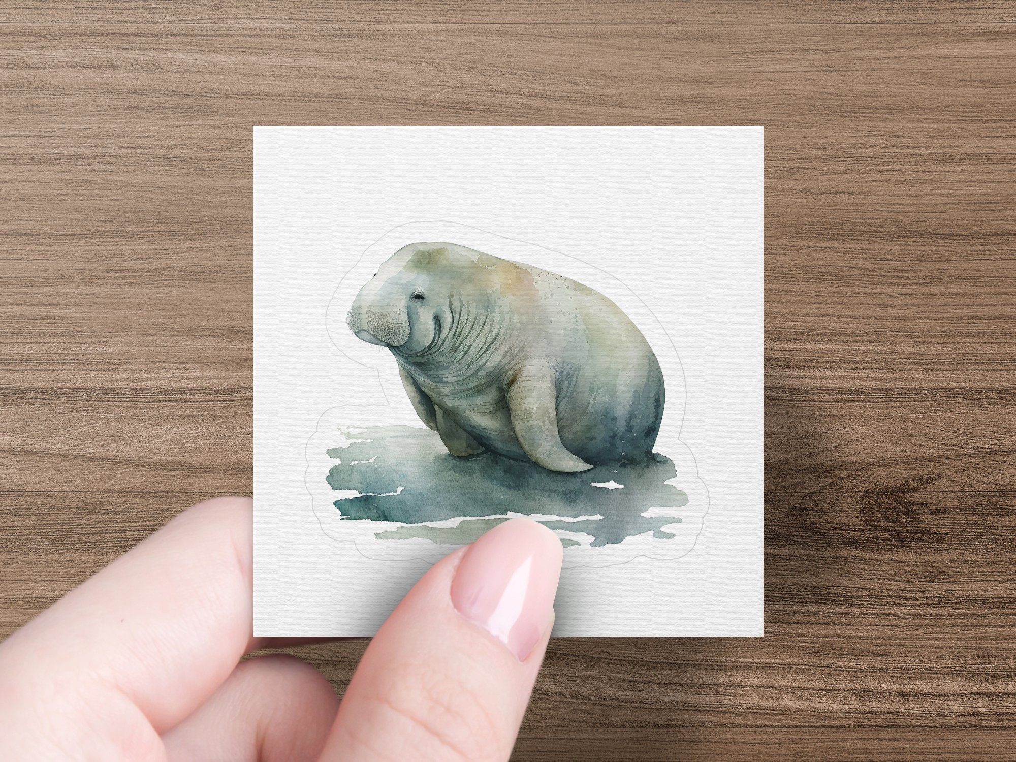 Manatee Sticker, Ocean Decal, Vinyl Decal, Sticker for Tumbler, Sticker ...