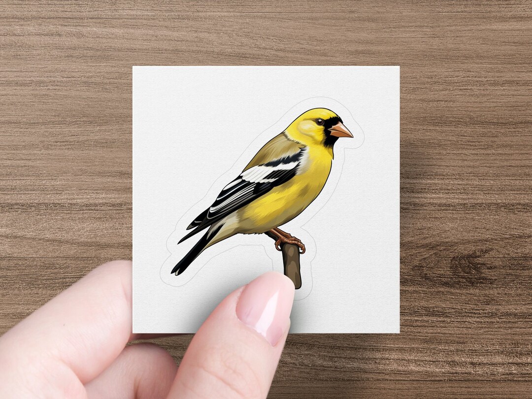 American Goldfinch Sticker, Bird Watcher Decal, Laptop, Car Window ...