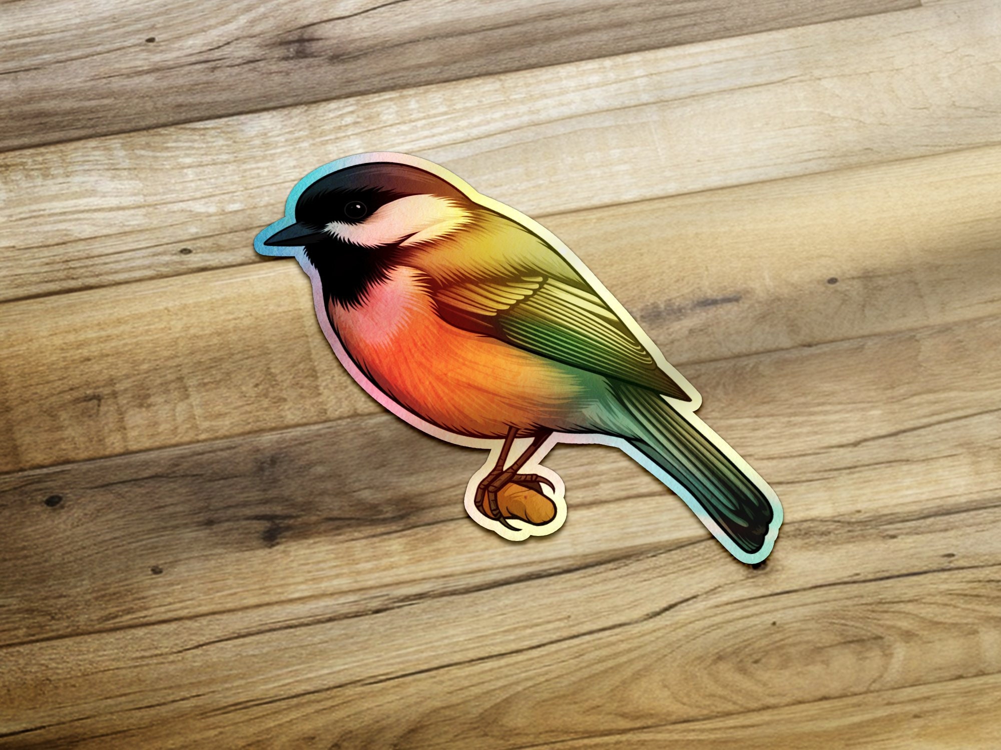 Black-capped Chickadee Sticker, Bird Watcher Decal, Laptop, Window ...