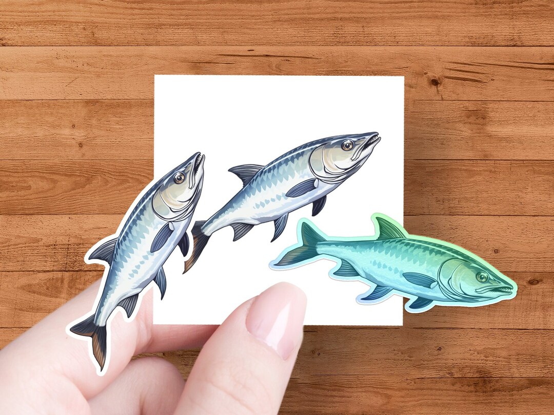 Tarpon Sticker, Animal Decal, Laptop, Car Window Decal, Water Bottle ...