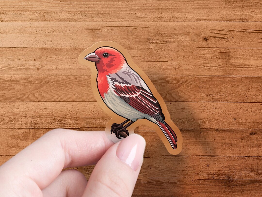 House Finch Sticker, Bird Watcher Decal, Laptop, Car Window Decal ...