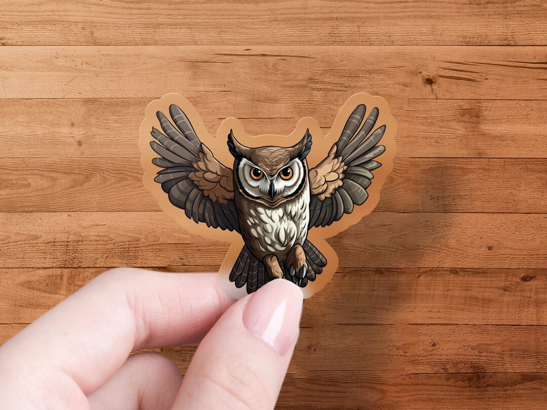 Eastern Screech Owl Sticker, Bird Watcher Decal, Laptop, Car Window ...