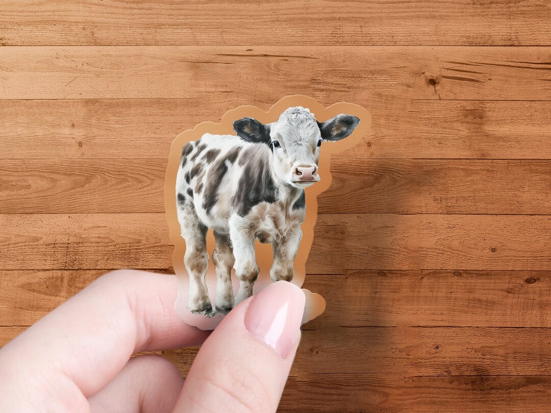 Dairy Cow Calf Sticker, Farm Animal Stickers, Cow Stickers, Water ...