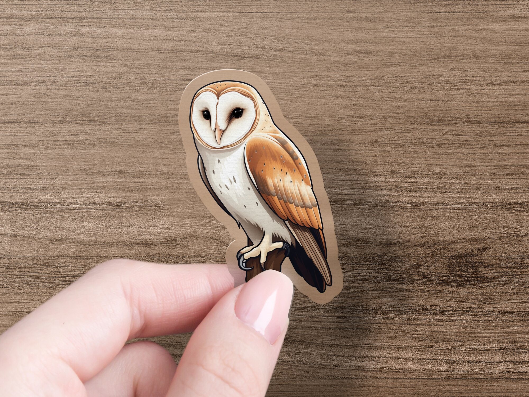 Barn Owl Sticker, Bird Watcher Decal, Laptop, Car Window Decal, Water ...