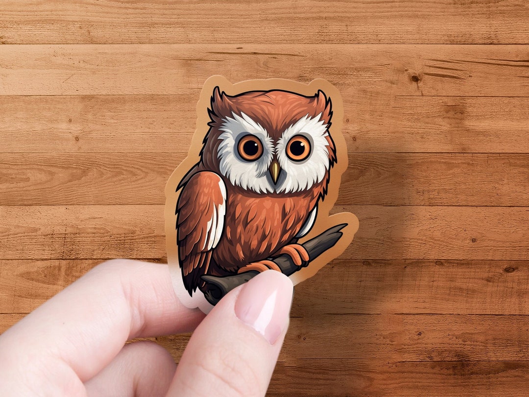 Eastern Screech Owl Sticker, Bird Watcher Decal, Laptop, Car Window ...