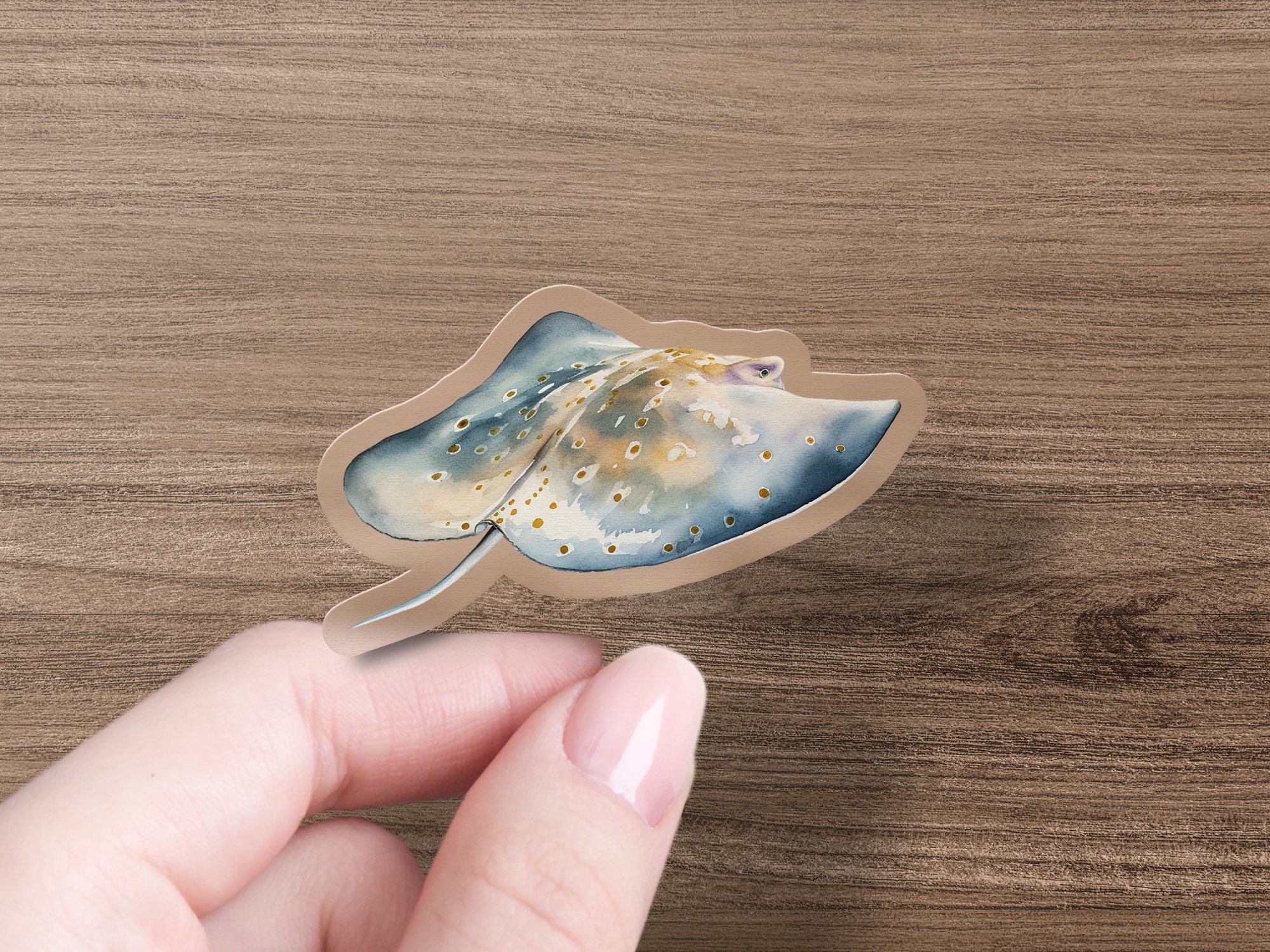 Sting Ray Sticker Car Vinyl Decal Marine Animal Sticker - Etsy