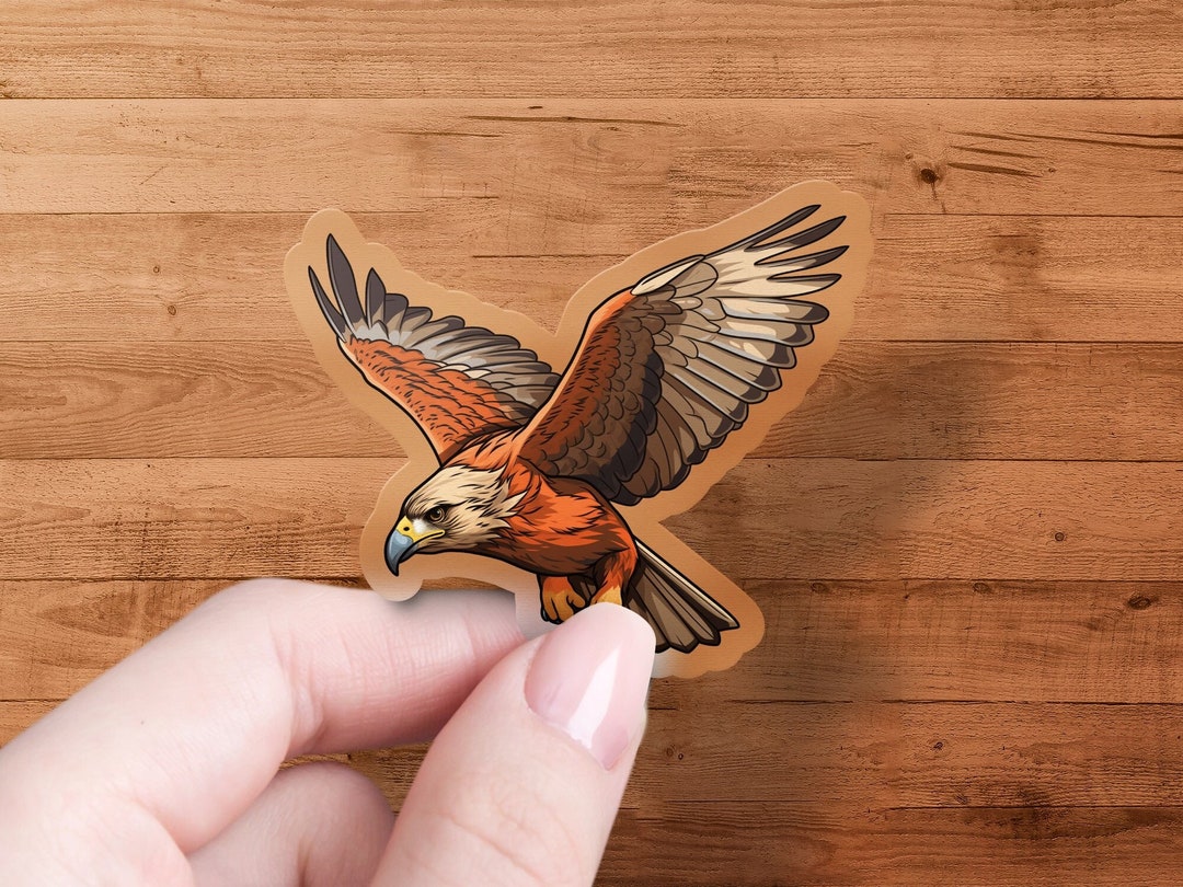 Red-tailed Hawk Sticker, Bird Watcher Decal, Laptop, Car Window Decal ...