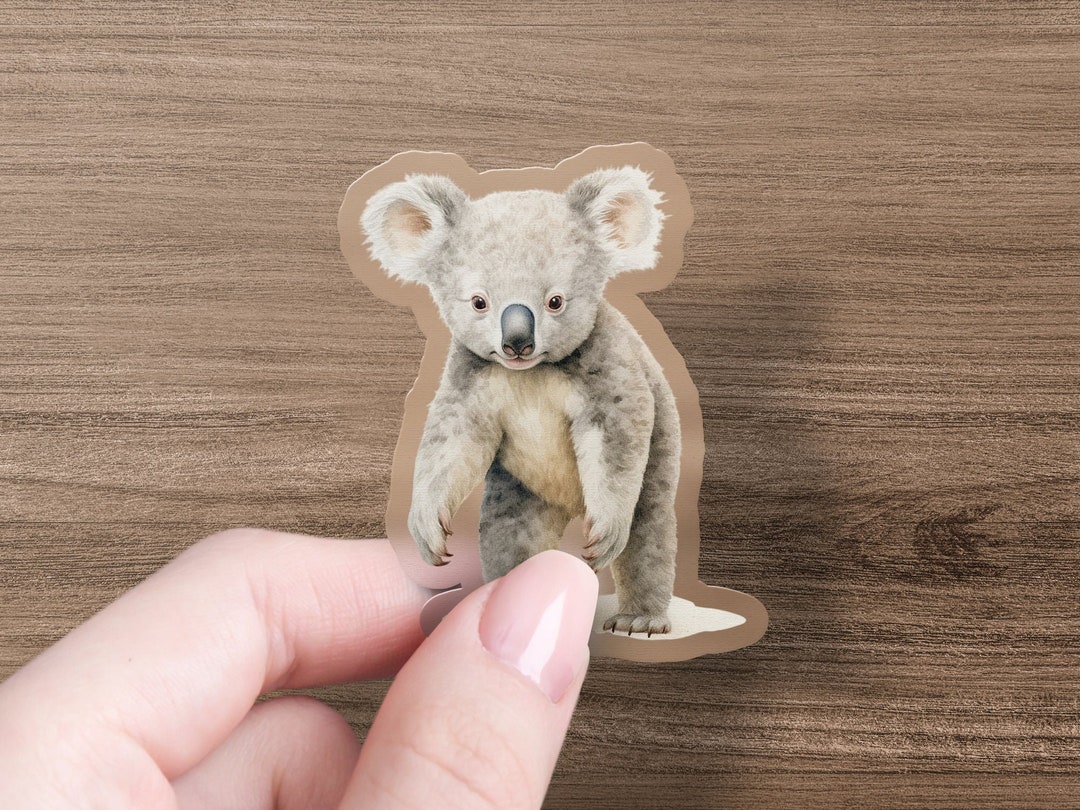 Koala Bear Sticker, Cute Animal Decal, Laptop, Car, Water Bottle ...