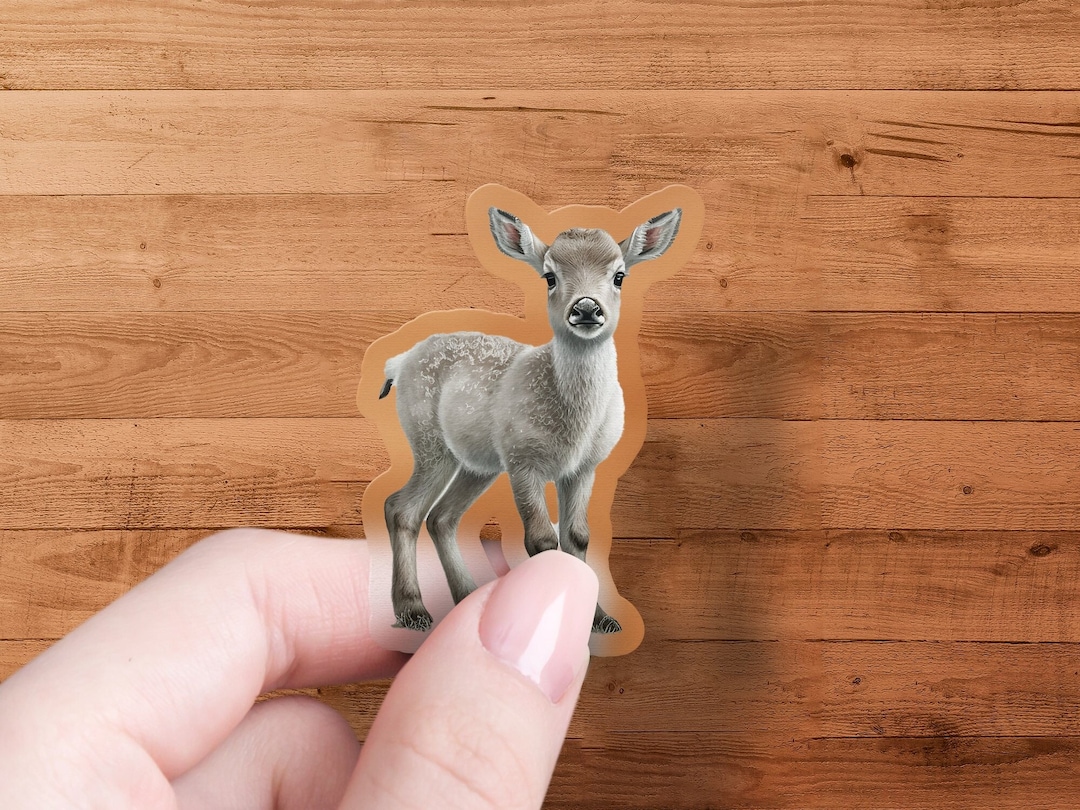 Caribou Vinyl Sticker, Laptop, Water Bottle Decal - Etsy
