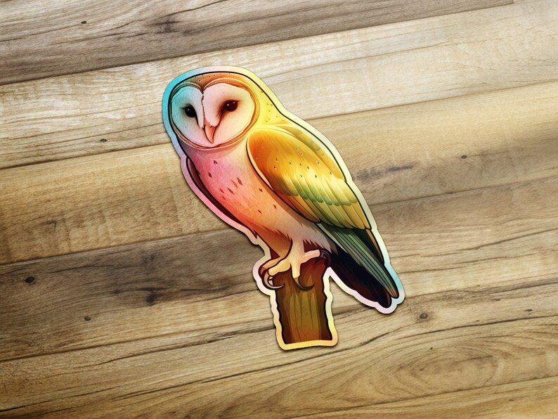 Barn Owl Sticker, Bird Watcher Decal, Laptop, Car Window Decal, Water ...