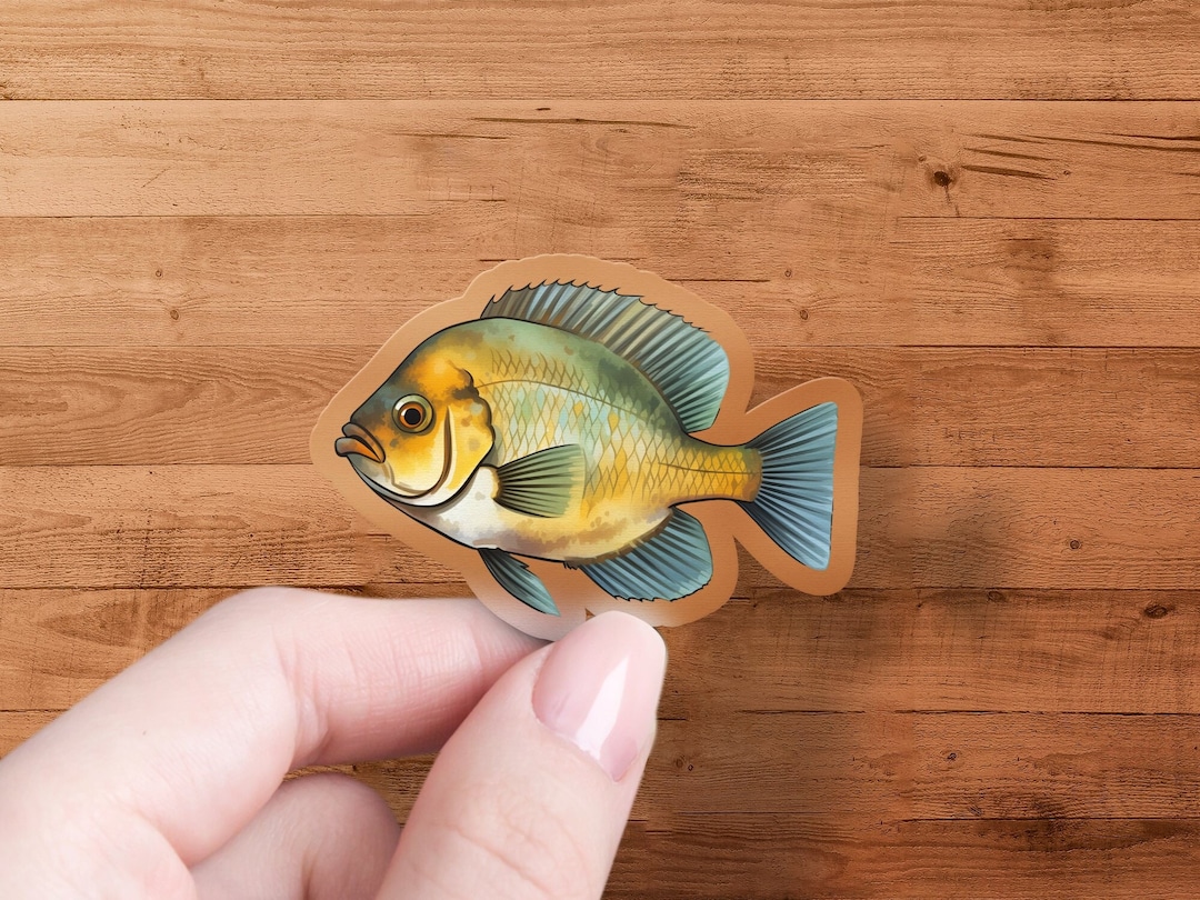 Bluegill Sticker, Animal Decal, Laptop, Car Window Decal, Water Bottle ...