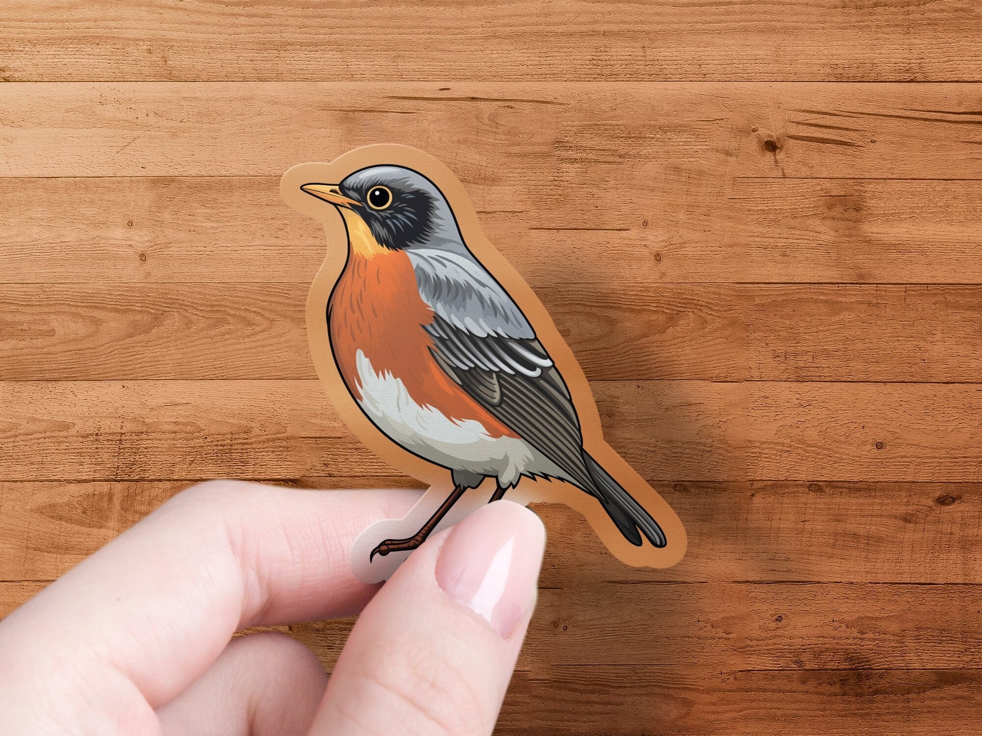 American Robin Sticker, Bird Watcher Decal, Laptop, Car Window Decal ...