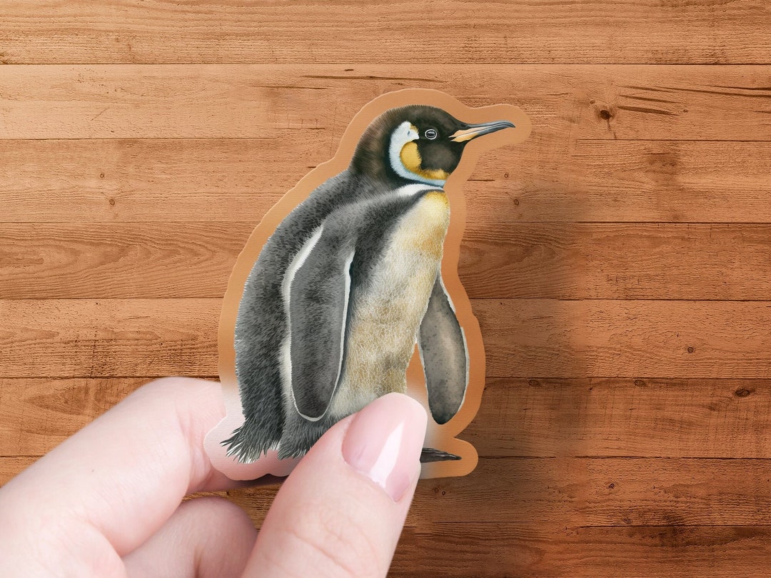 King Penguin Sticker, Custom Penguin Decal, Penguin Bumper Sticker ...